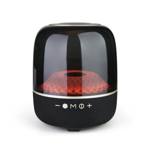 Bocina FS-R315 TWS con Luz RGB y 40W de Potencia | FOL México